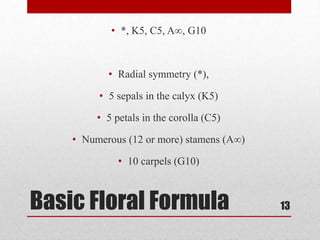 215962739-5-a-Floral-Formulas-and-Diagrams.ppt