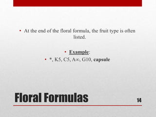 215962739-5-a-Floral-Formulas-and-Diagrams.ppt