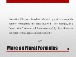 215962739-5-a-Floral-Formulas-and-Diagrams.ppt