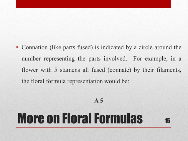 215962739-5-a-Floral-Formulas-and-Diagrams.ppt | Flower Shopping | Shopping