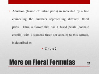215962739-5-a-Floral-Formulas-and-Diagrams.ppt