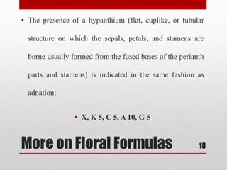 215962739-5-a-Floral-Formulas-and-Diagrams.ppt