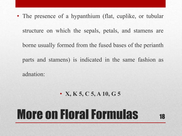 215962739-5-a-Floral-Formulas-and-Diagrams.ppt | Flower Shopping | Shopping