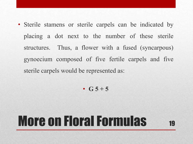 215962739-5-a-Floral-Formulas-and-Diagrams.ppt | Flower Shopping | Shopping