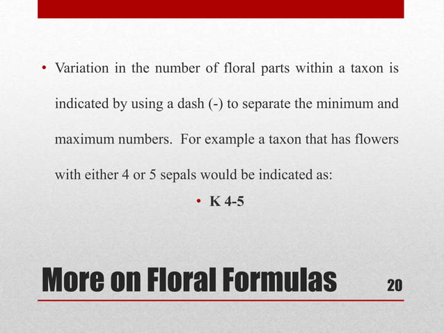 215962739-5-a-Floral-Formulas-and-Diagrams.ppt | Flower Shopping | Shopping