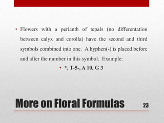 215962739-5-a-Floral-Formulas-and-Diagrams.ppt