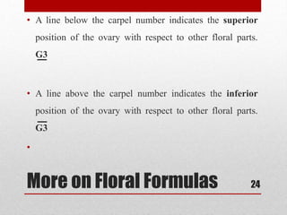 215962739-5-a-Floral-Formulas-and-Diagrams.ppt