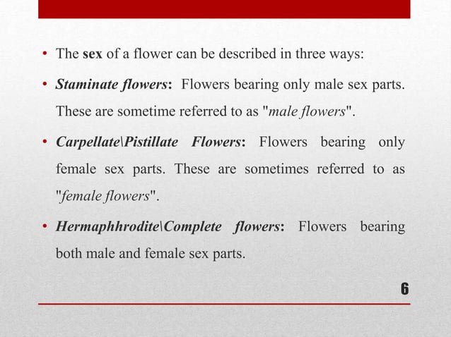 215962739-5-a-Floral-Formulas-and-Diagrams.ppt | Flower Shopping | Shopping