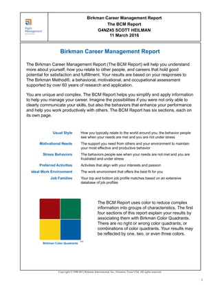 Birkman carreer Management Report (1) | PDF