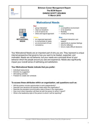 Birkman carreer Management Report (1) | PDF