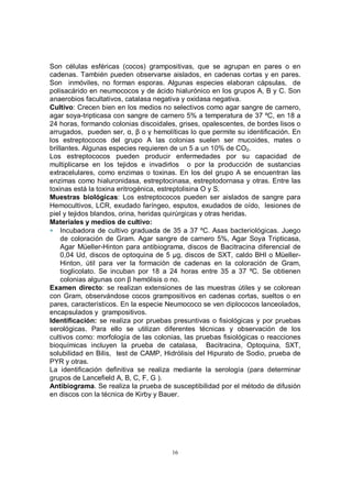215 guia para la identificacion de las bacteria | PDF
