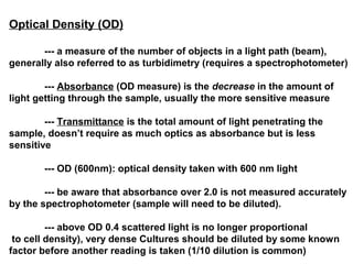 Bacterial growth | PPT