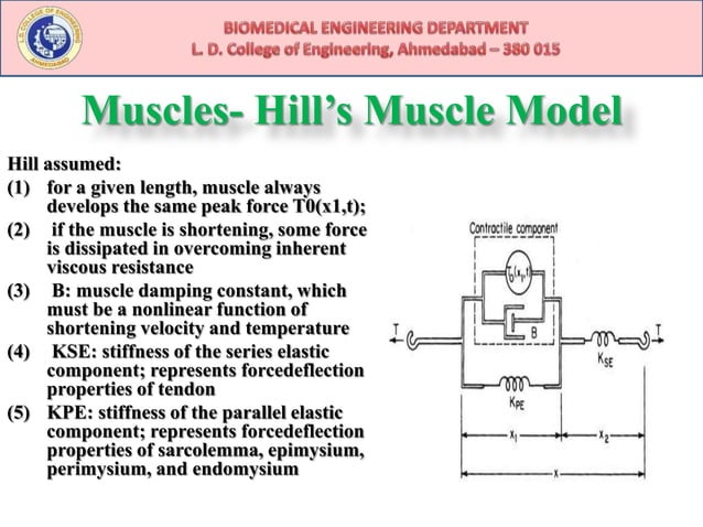 Biomechanics of Soft Tissue | PPTX