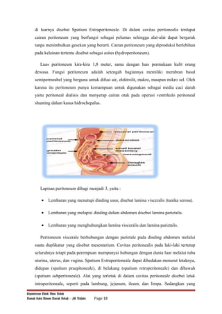 216059415 case-peritonitis | DOC