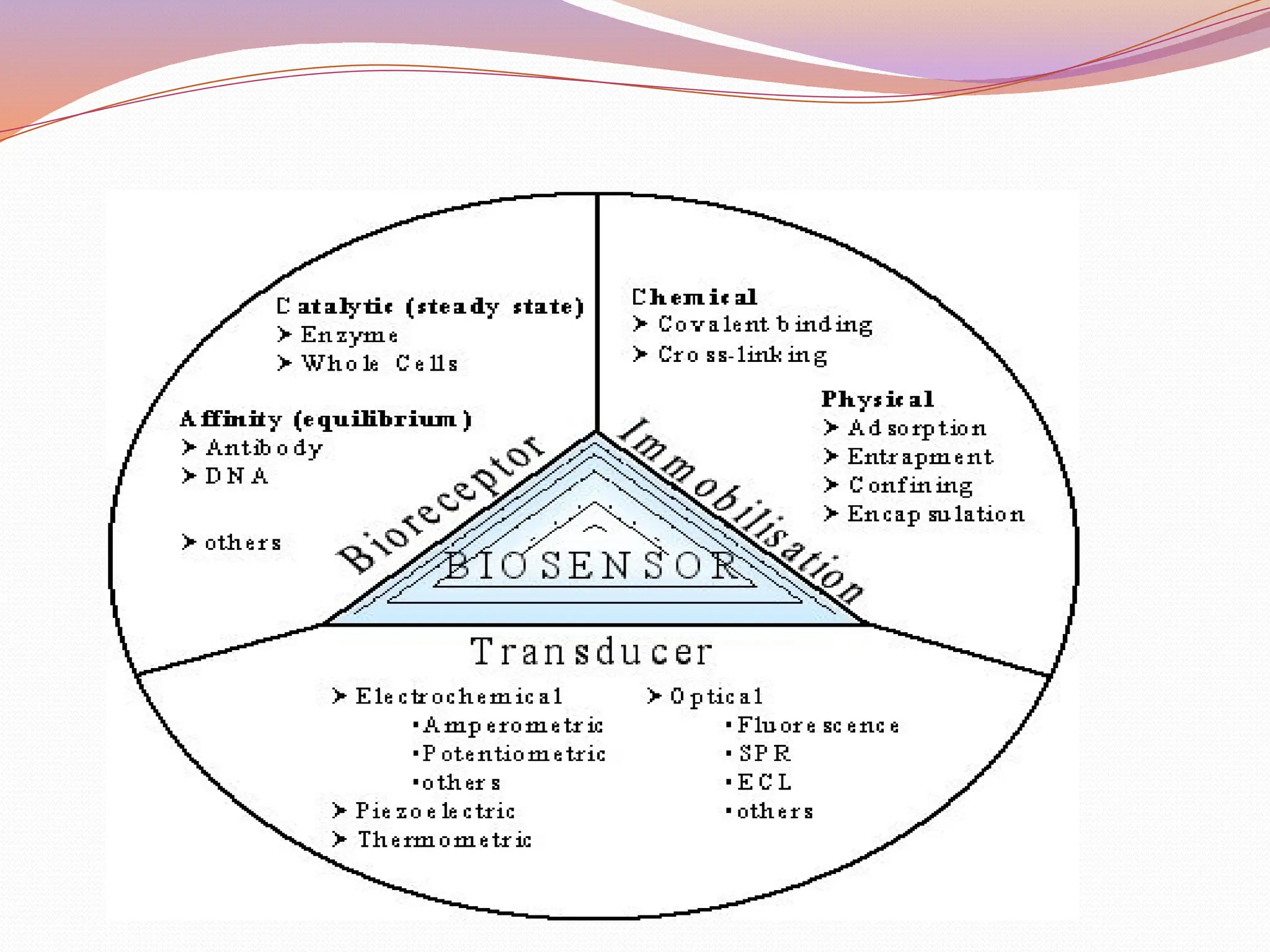 biosensors and it's working principle.pptx