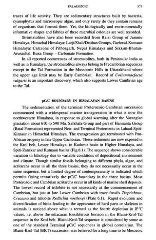 Geology Of India M Ramakrishnan R Vaidyanadhan | PDF