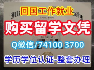 WPI Transcript | PDF