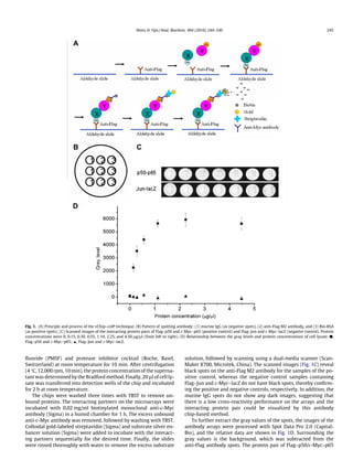 A visual chip-based coimmunoprecipitation technique for analysis of ...