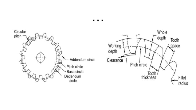 Terminology Of Spur Gear | PPT | Physics | Science