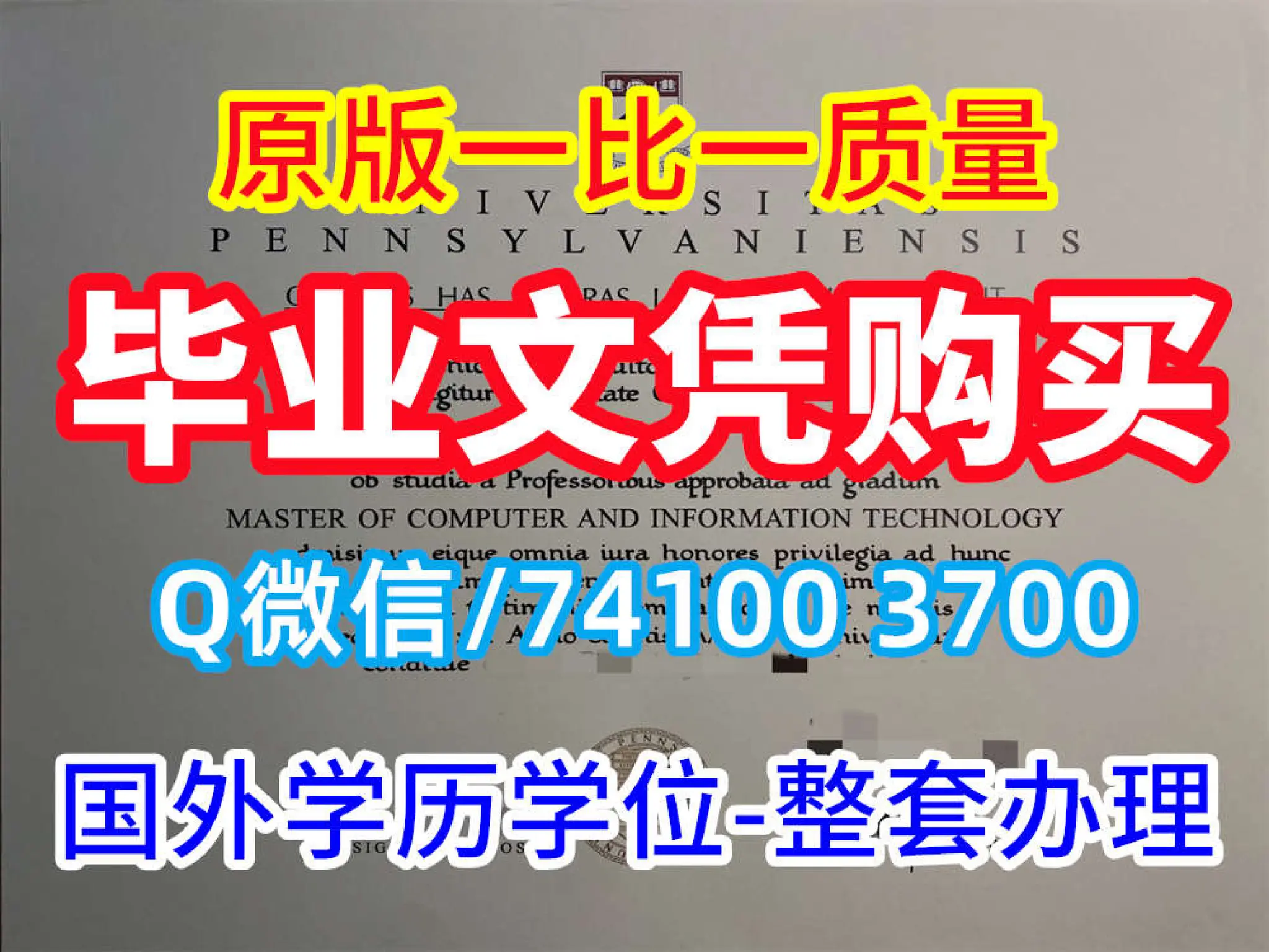 UPenn Master Degree | PDF | Undergraduate Education | College Education