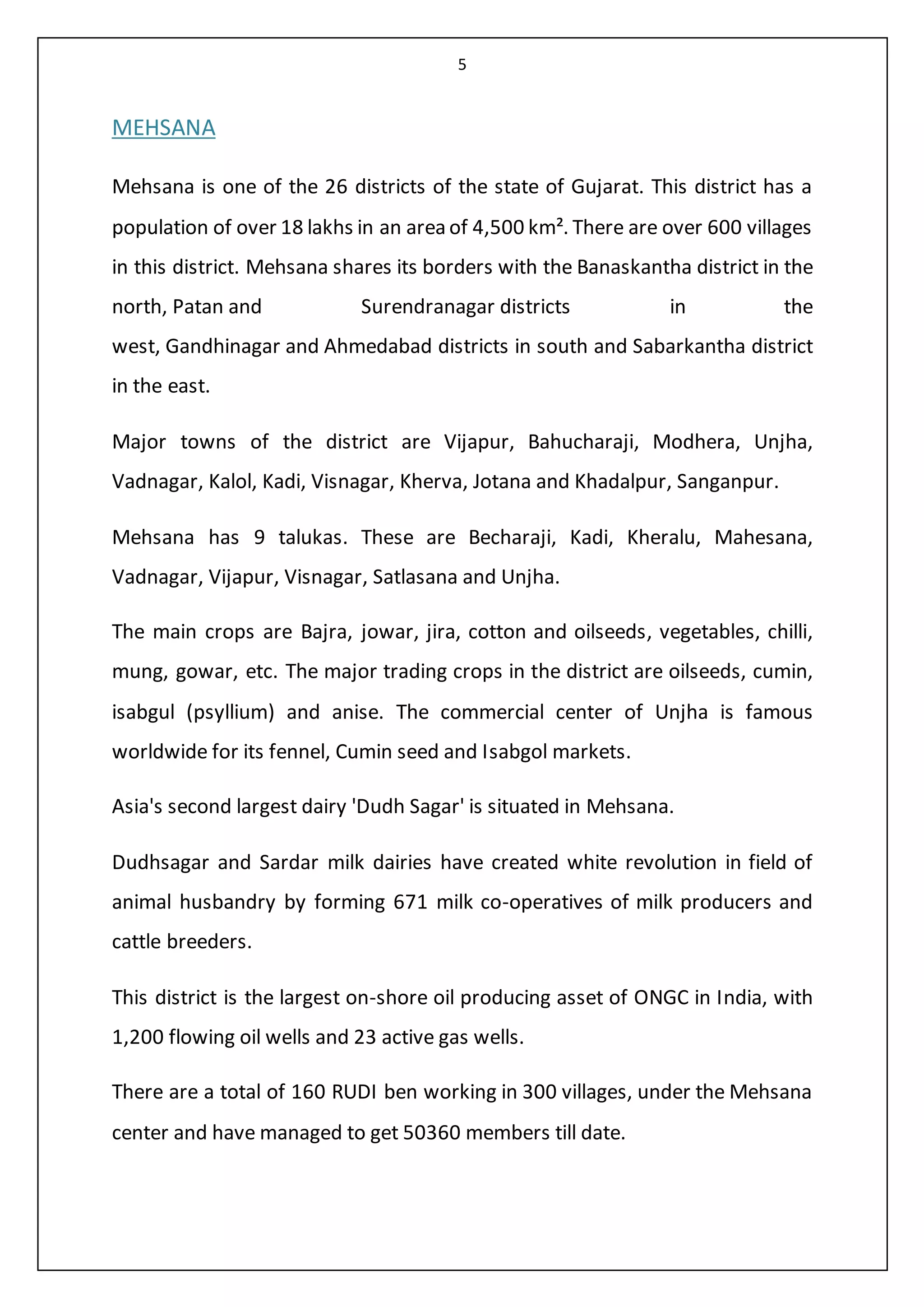 Business Plan- Mehsana | DOCX