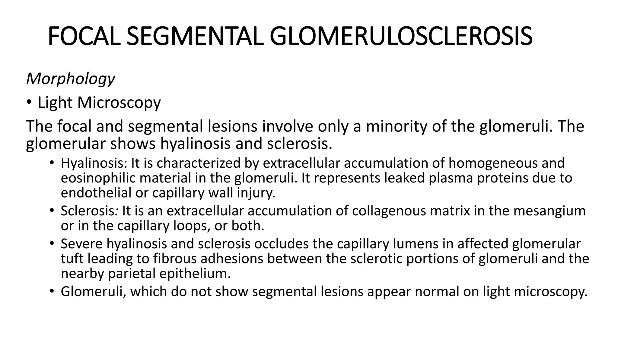 2_18. Glomerulonephritis.pptx