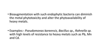 Bioremediation of heavy metals pollution by Udaykumar Pankajkumar ...