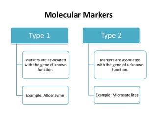 Molecular basis of evolution and softwares used in phylogenetic tree ...