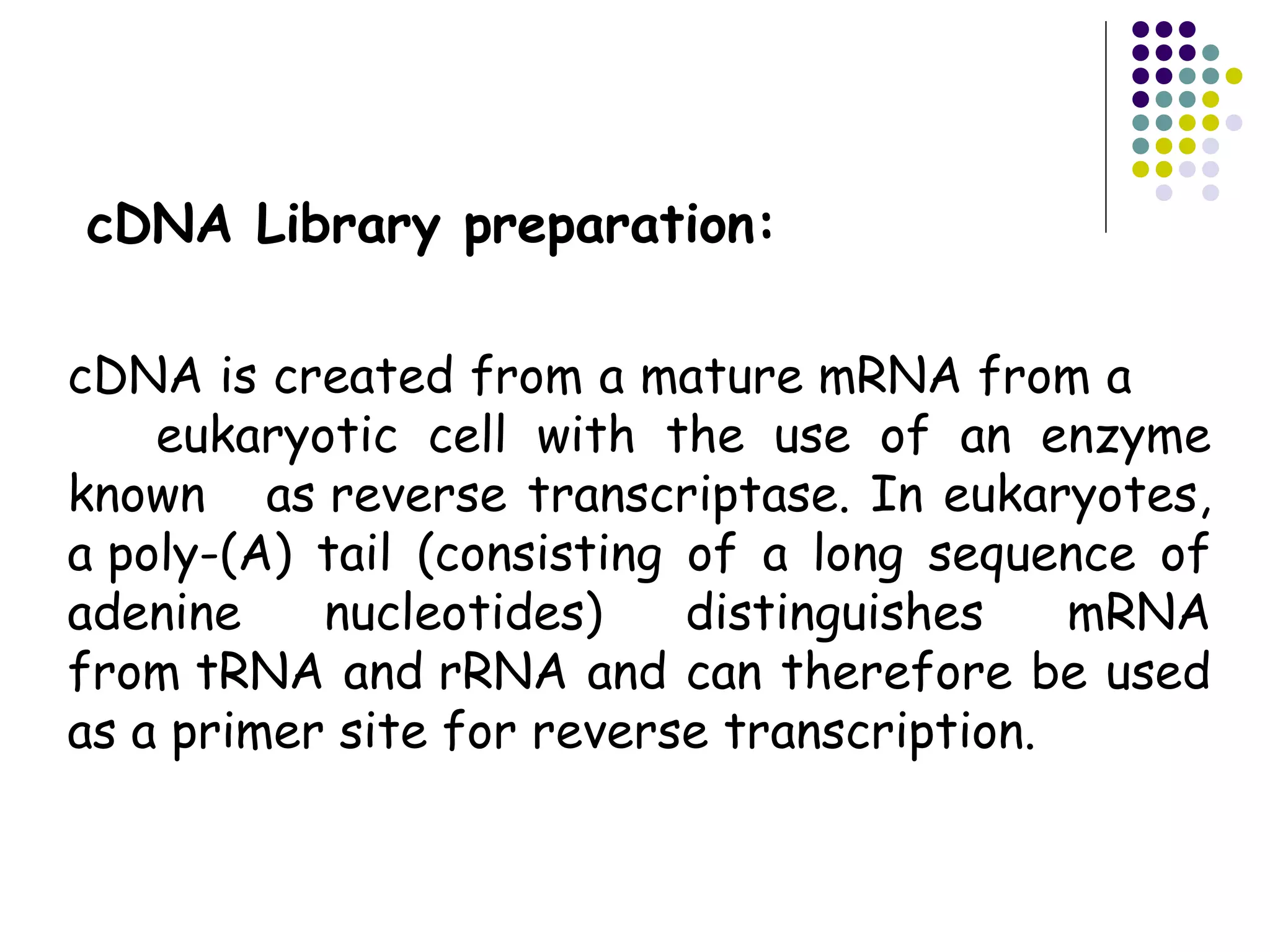 CDNA Library preparation. ppt for Jamil sir | PPT