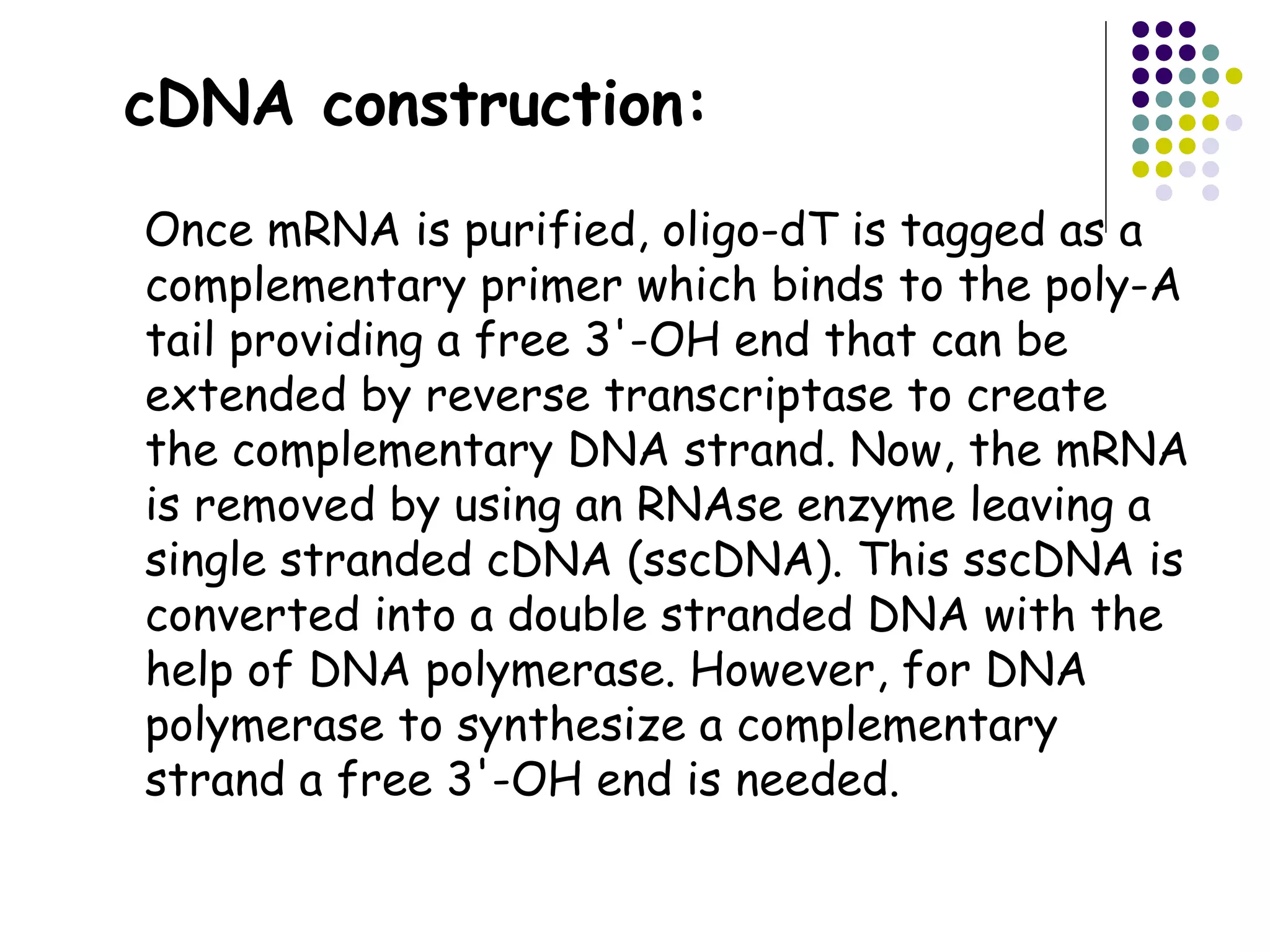 CDNA Library preparation. ppt for Jamil sir | PPT