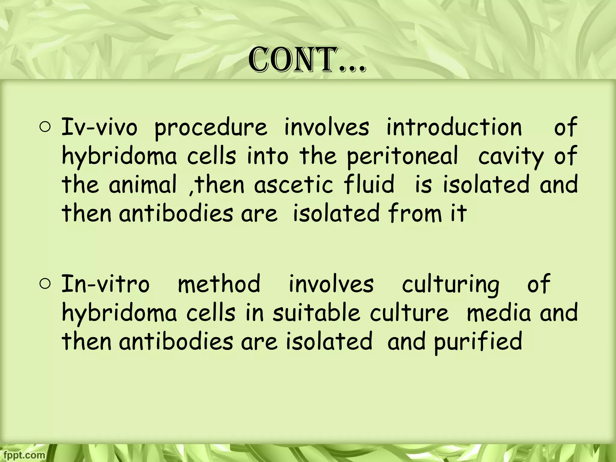 hybridoma technology | PPT
