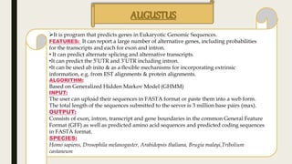 gene prediction programs | PPTX