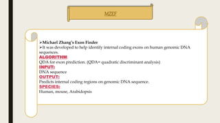 gene prediction programs | PPTX