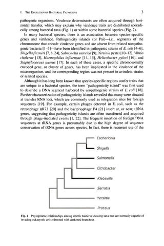 Principles of Bacterial Pathogenesis 1st Edition Eduardo A. Groisman | PDF