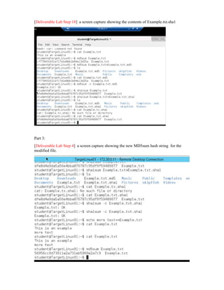 encryption and hash algorithms | PDF
