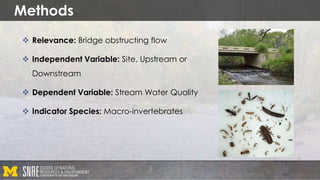Effects of Obstruction on Stream Water Quality at Parker Mill | PPT