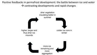 Peatland & Permafrost: a cool relationship | PPTX