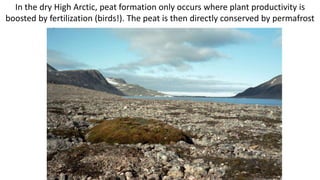 Peatland & Permafrost: a cool relationship | PPTX