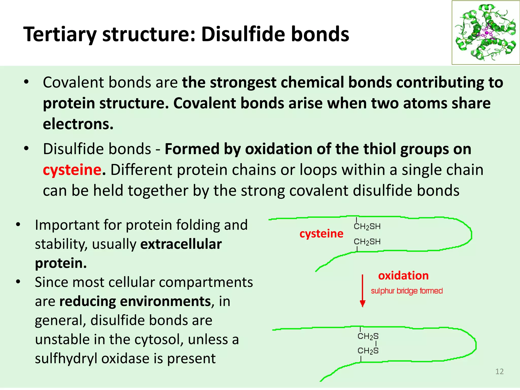 219103 lecture 8 | PPTX