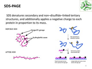 219159 lecture 10 | PPT