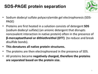 219159 lecture 10 | PPT