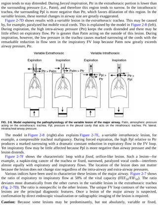Interpretation Of Pulmonary Function Tests Robert E Hyatt Paul D ...