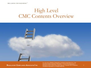 Strategies for IND Filing Success -CMC | PPT