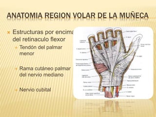 21 ANATOMIA QUIRURGICA DE LA MANO.ppsx