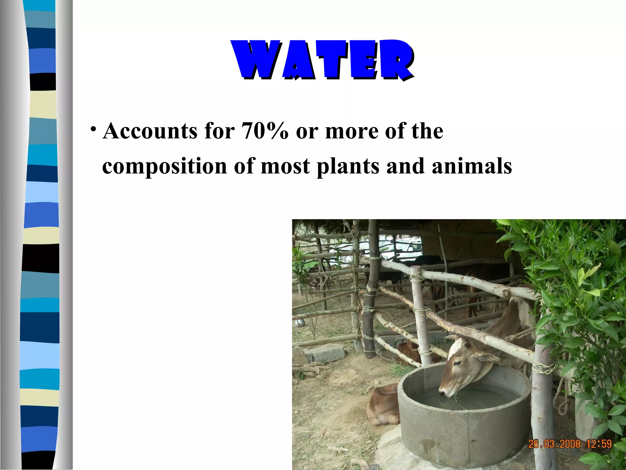 21 animal nutrition and feeds | PPT