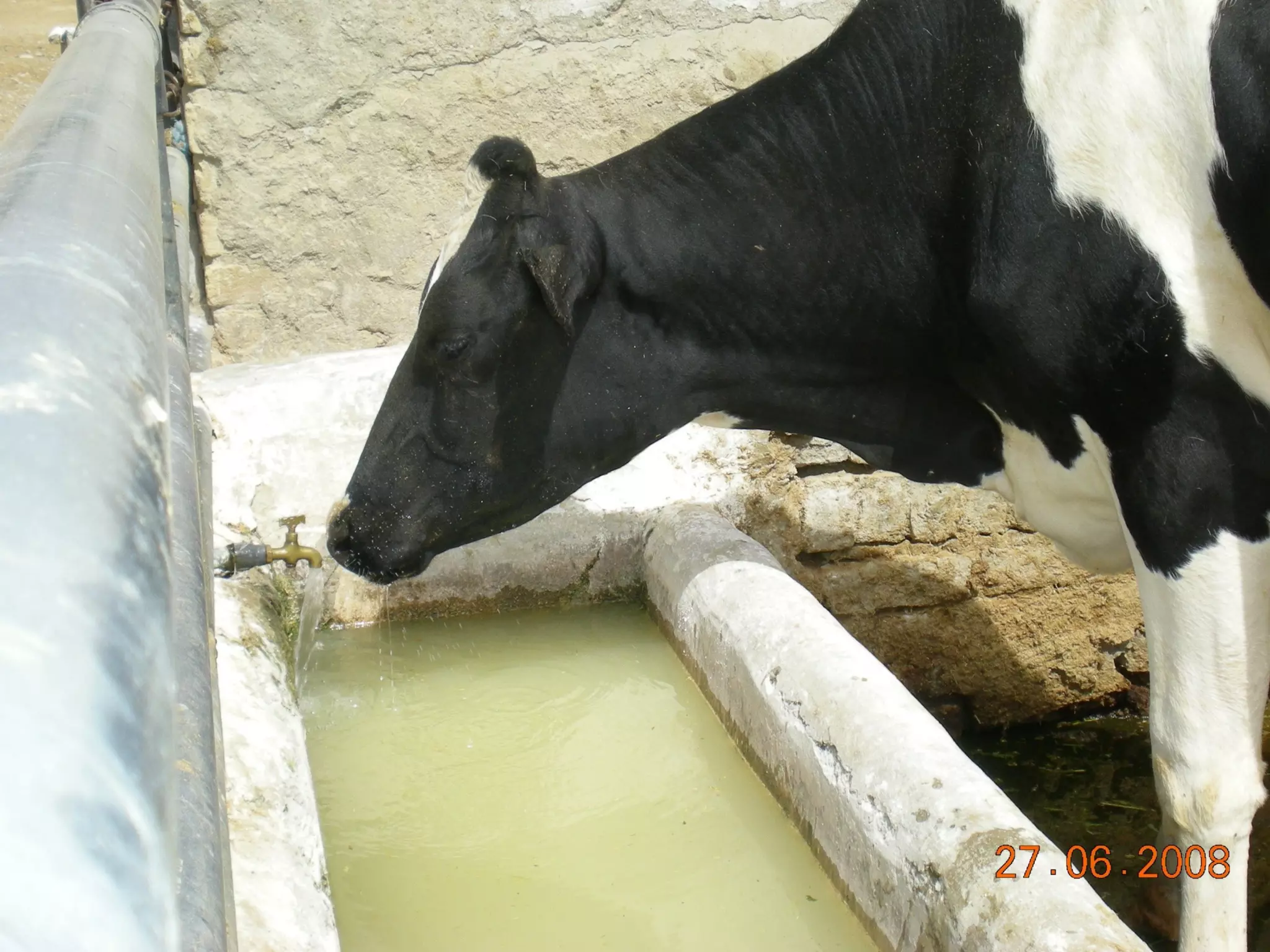 21 animal nutrition and feeds | PPT
