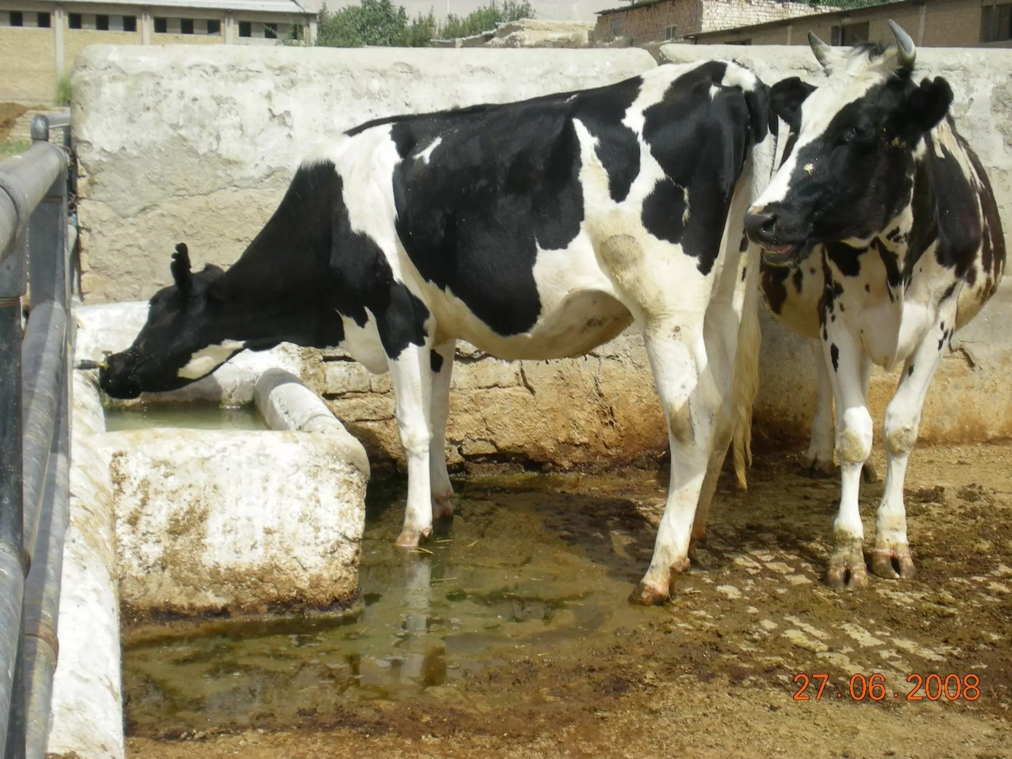 21 animal nutrition and feeds | PPT