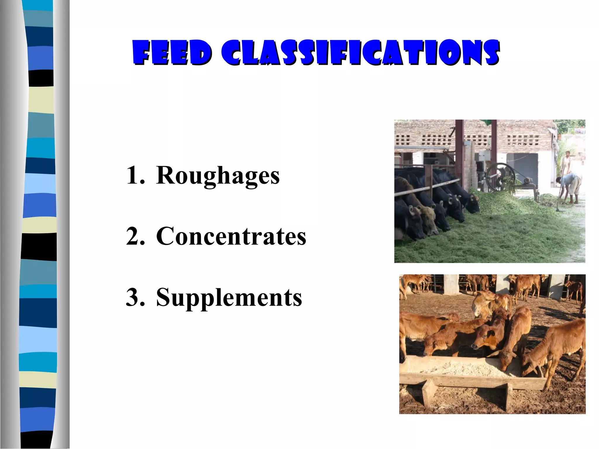 21 animal nutrition and feeds | PPT