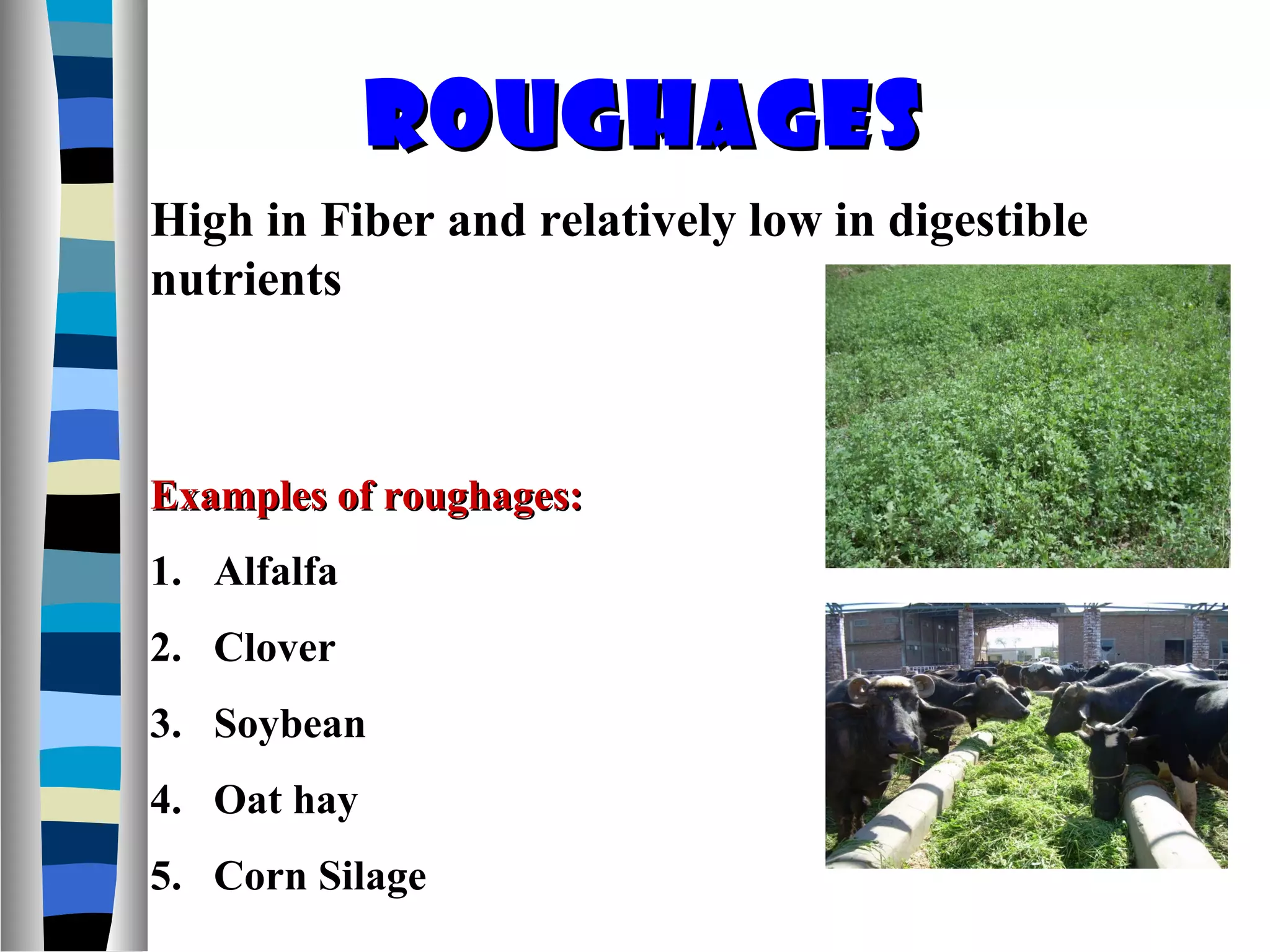 21 animal nutrition and feeds | PPT