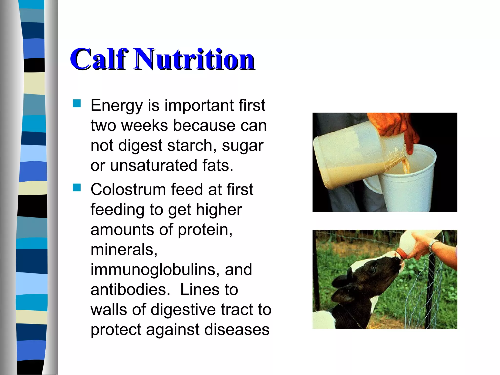 21 animal nutrition and feeds | PPT